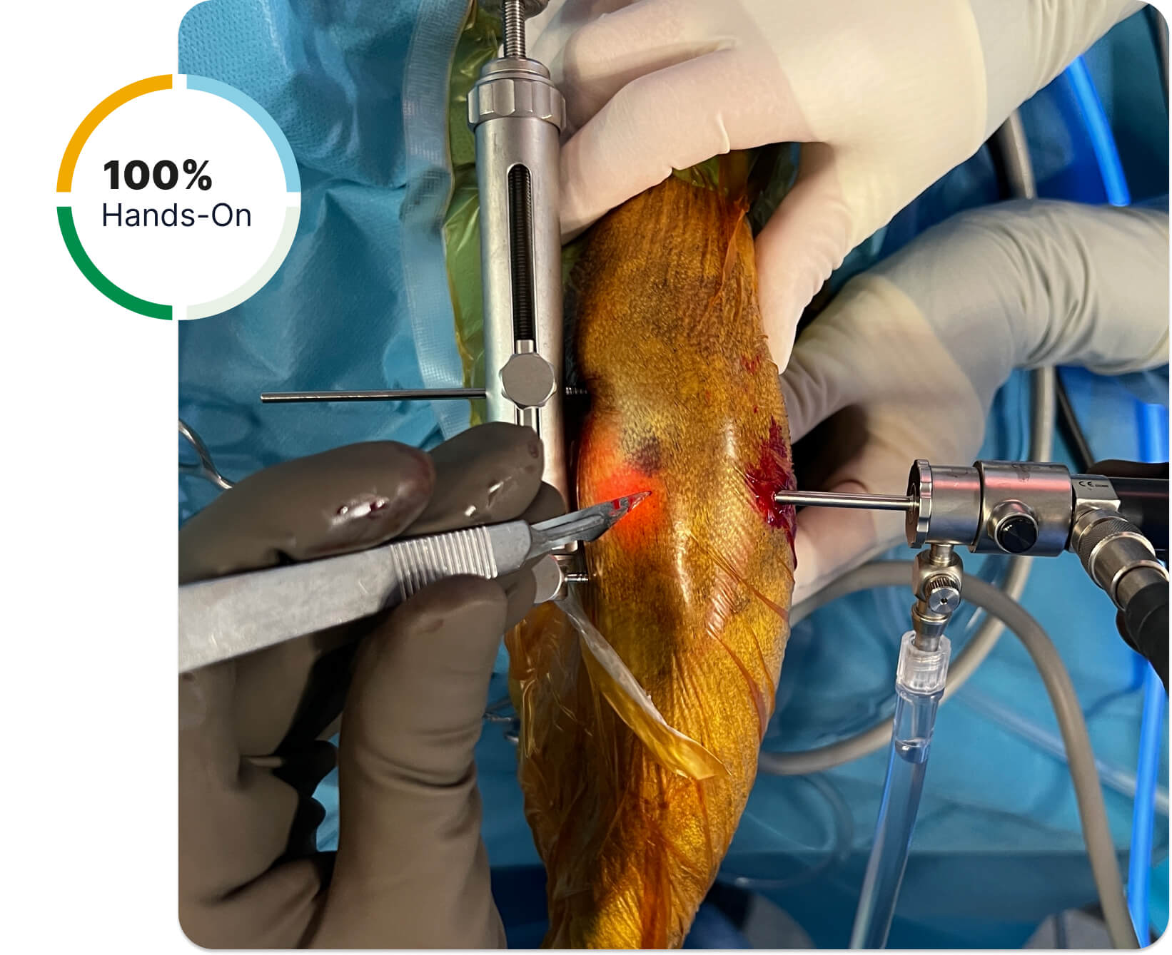 Upskill.vet - Practical Veterinary Education